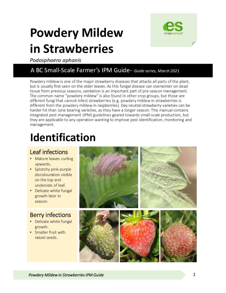 Powdery mildew in strawberries: IPM guide - BC Climate Change ...